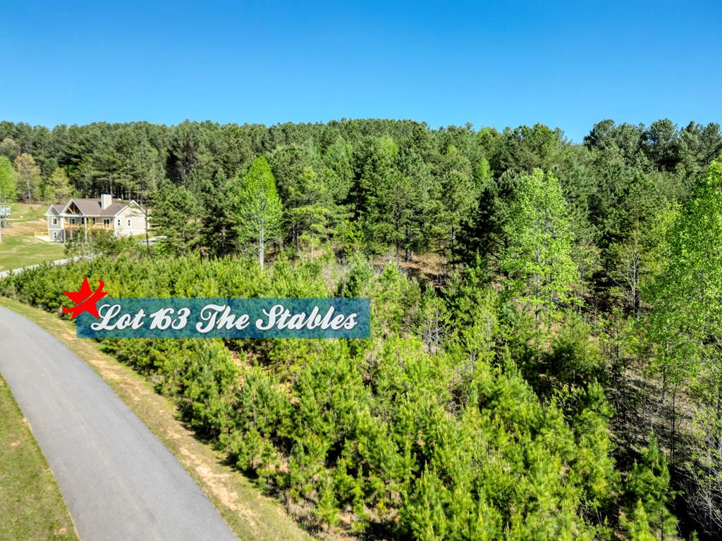 163 Stables Loop , Blairsville, GA 30512 | MLS# 415074 Thirteen Hundred | ez Home Search