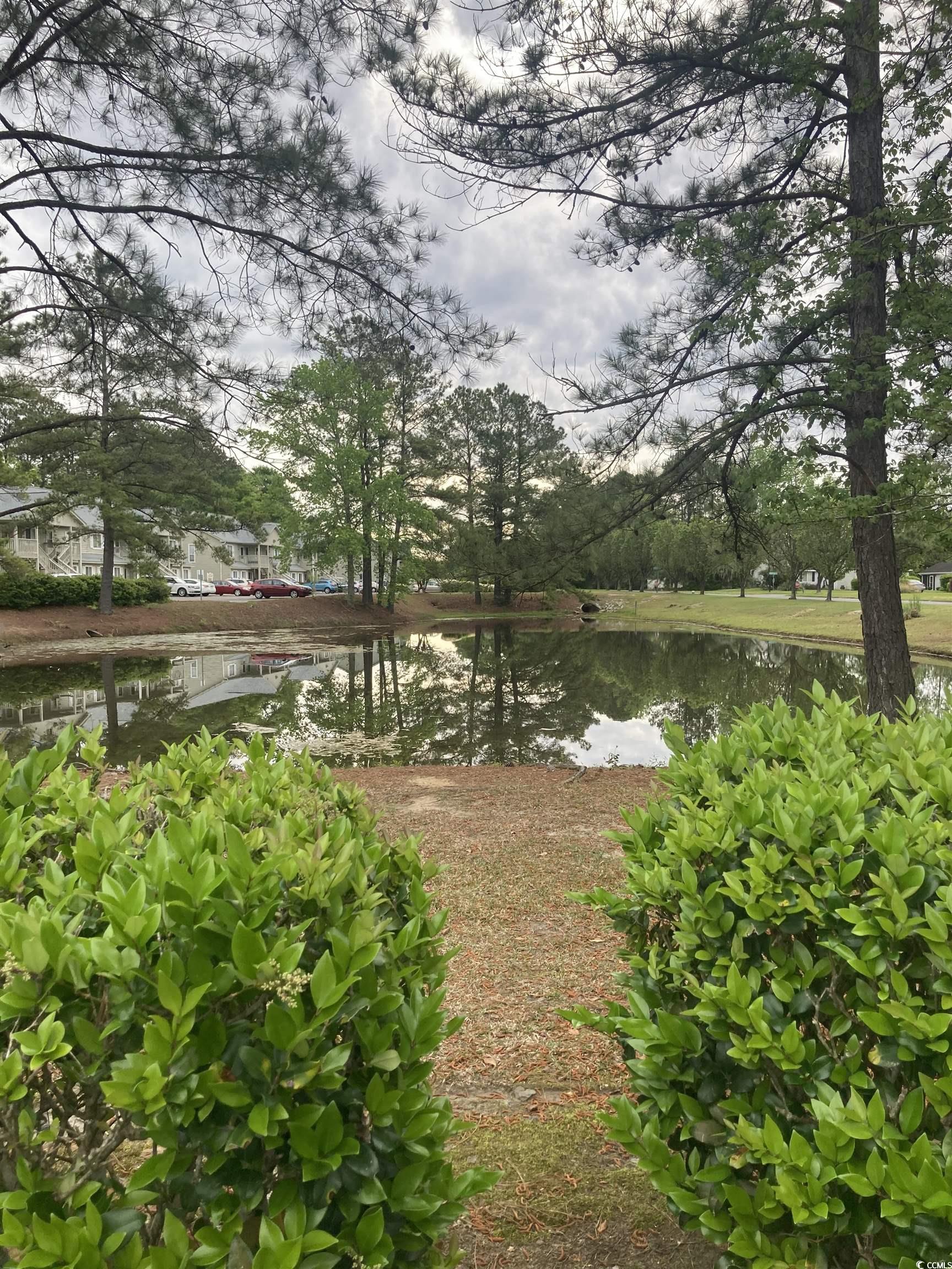 1230 St. George Ln #B, Myrtle Beach, SC 29588 | MLS# 2408664 Green Tree ...