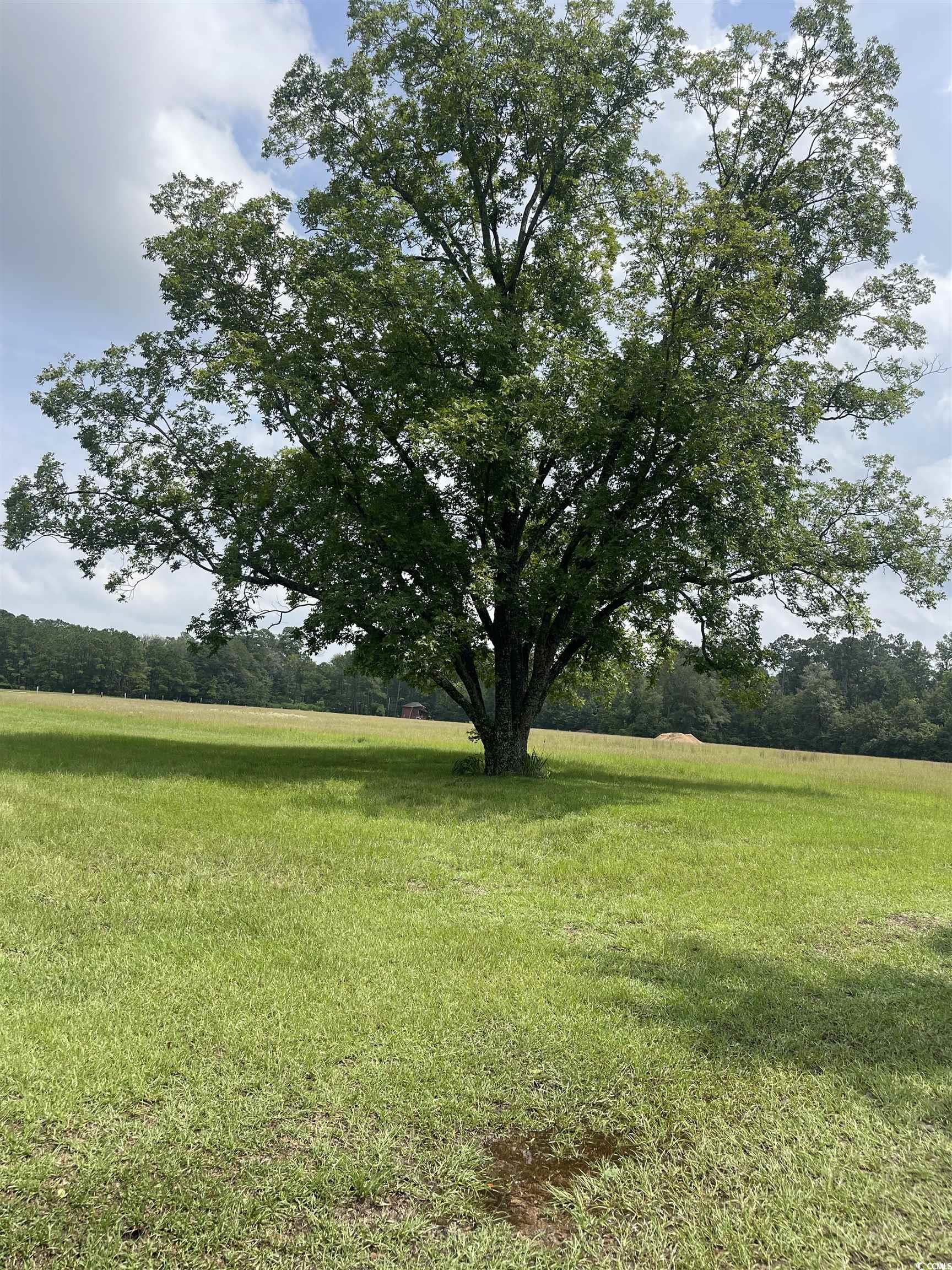 TBD Gurley Rd , Loris, SC 29569 | MLS# 2418568 Not within a Subdivision ...