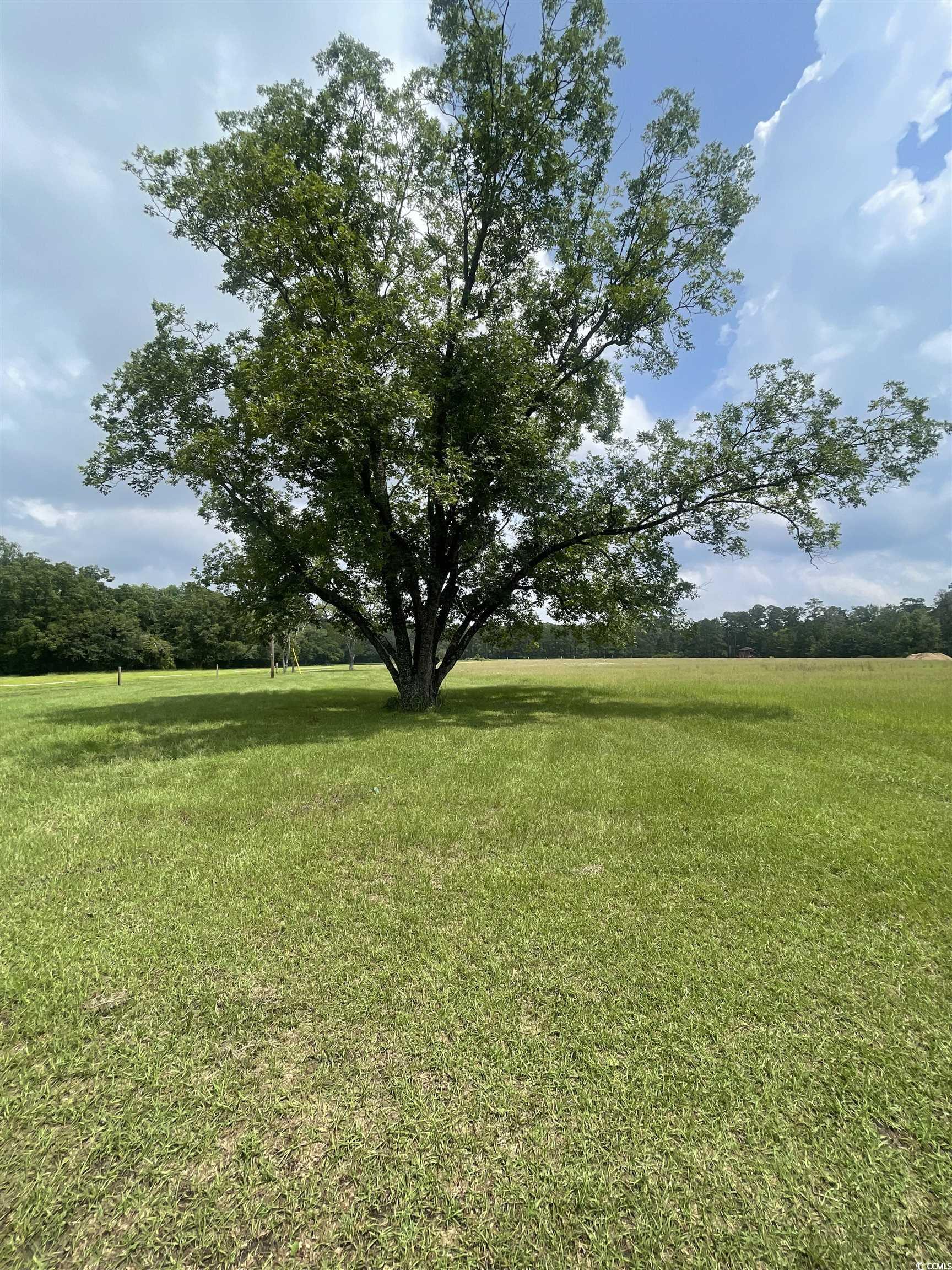 TBD Gurley Rd , Loris, SC 29569 | MLS# 2418568 Not within a Subdivision ...